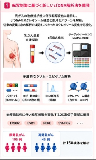 [成果]